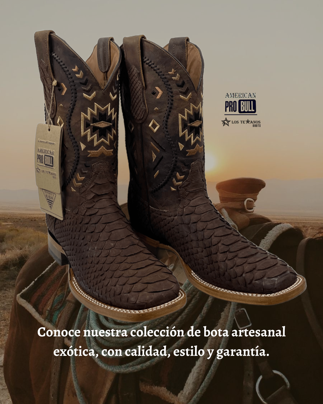 Texanos Boots Oficial